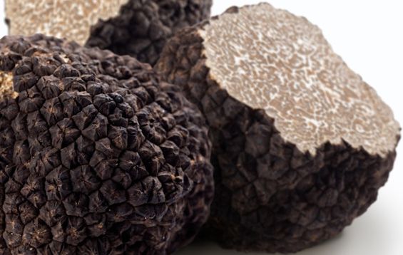 Mandoline temu mode d emploi : nos délicieuses recettes de mandoline ...