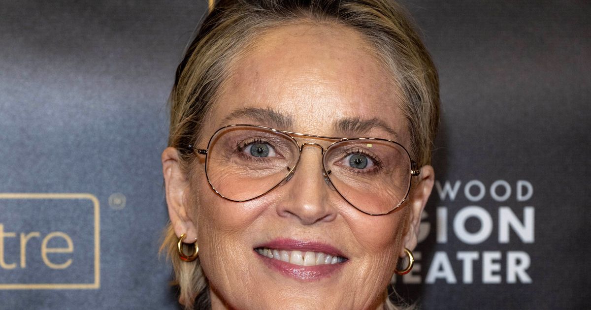 Sharon Stone : coupe courte et cheveux gris, ses plus beaux looks