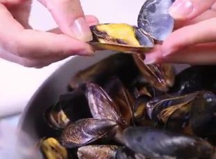 Recettes pour moules