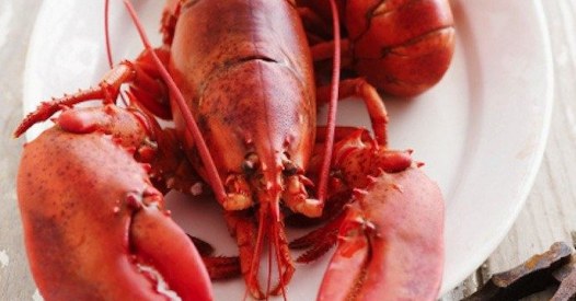 Cuisson du homard : Comment cuire et préparer un homard