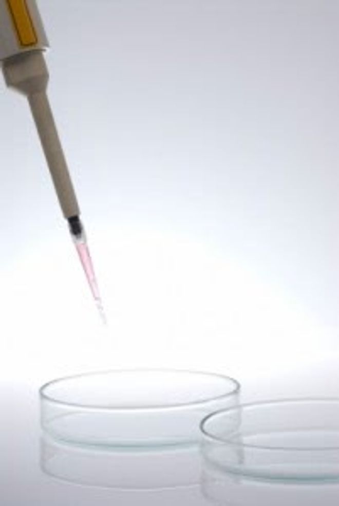 Procréation médicalement assistée (PMA) : tout ce qu'il faut savoir