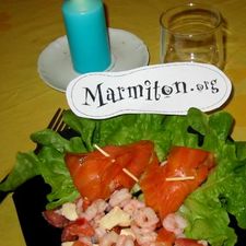 Saumon froid mayonnaise : nos délicieuses recettes de saumon froid ...