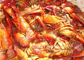 Recettes crustacés | Simples et rapides