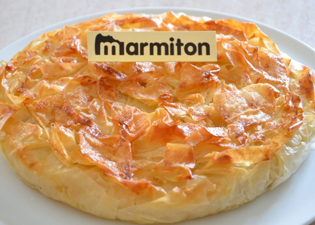 Croustade de brick aux pommes : nos délicieuses recettes de croustade ...