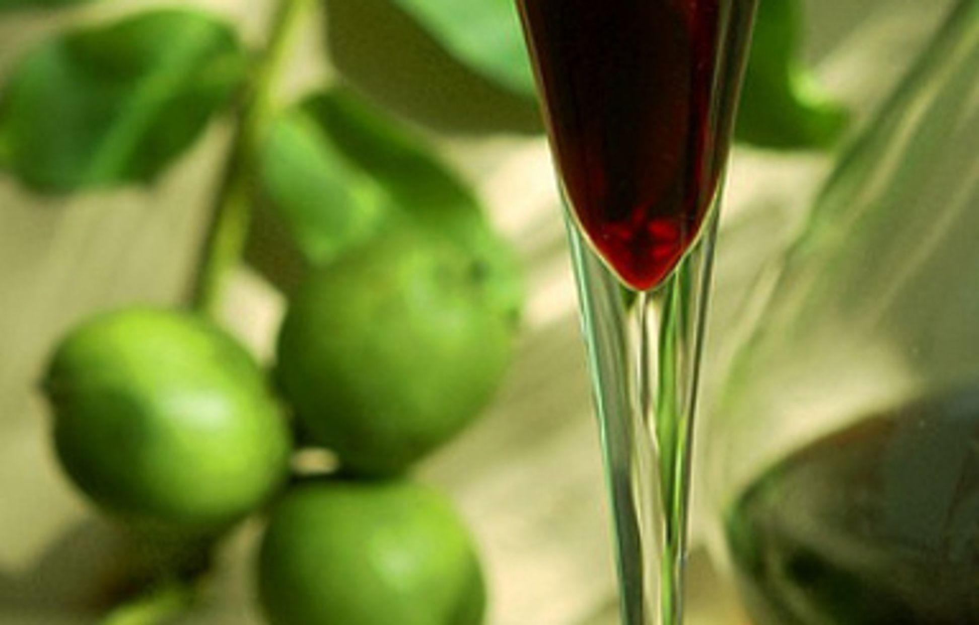 Vin de noix vanillé : Recette de Vin de noix vanillé - Marmiton