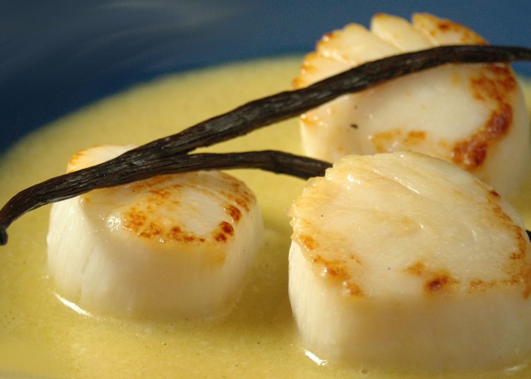 Saint jacques avec bardes : nos délicieuses recettes de saint jacques ...