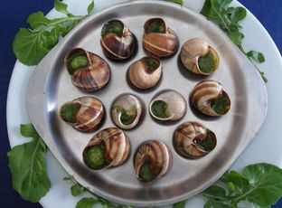 Recettes pour escargot