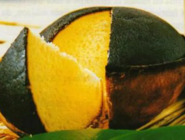 Tourteau fromager du Poitou : recette de Tourteau fromager du Poitou