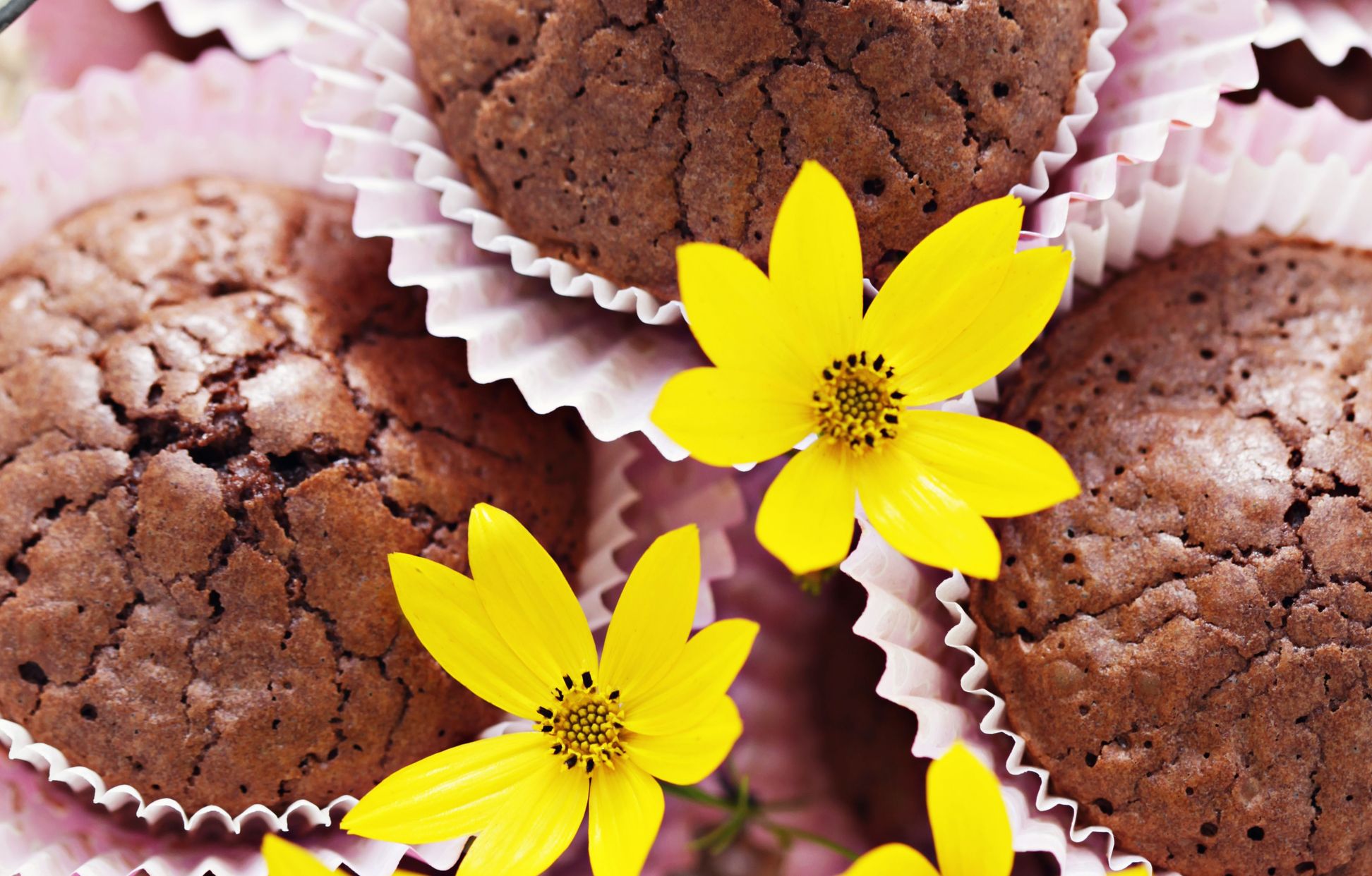Muffins très chocolat : Recette de Muffins très chocolat - Marmiton