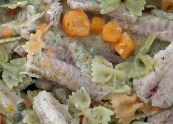 Saumonette : nos délicieuses recettes de saumonette