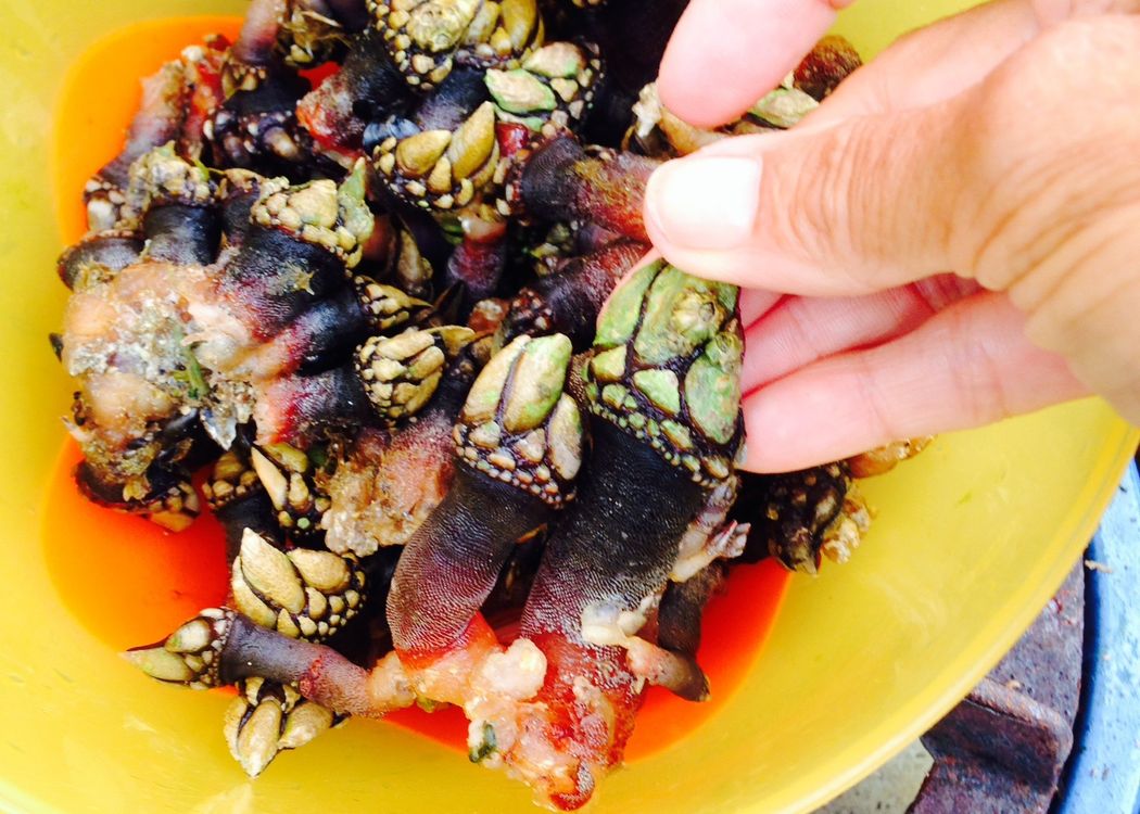 Pieds et paquets marseillais : nos délicieuses recettes de pieds et ...