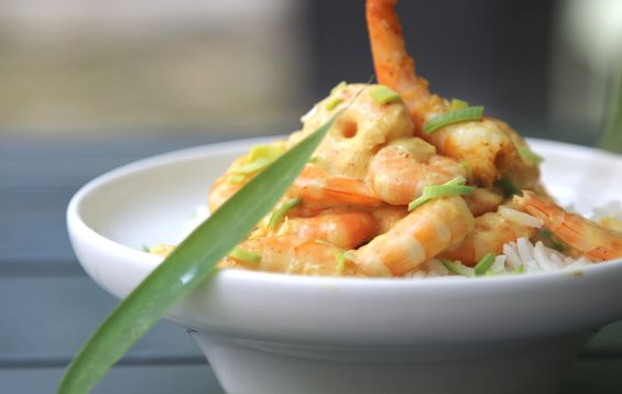 Kionte curry : nos délicieuses recettes de kionte curry