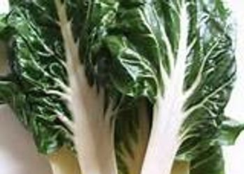 Carde : nos délicieuses recettes de carde