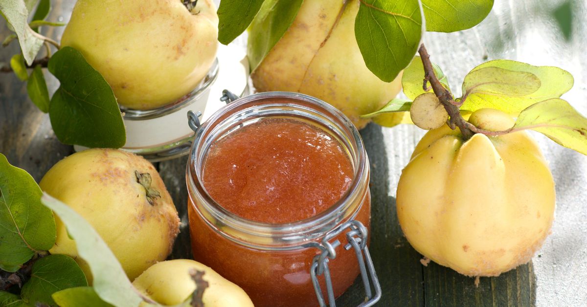confiture de coings au thym-citron : recette de confiture de coings au ...