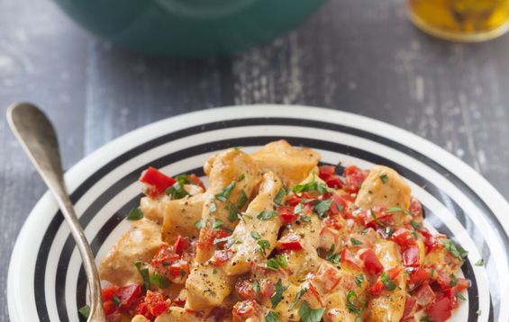 Filet à plancton : nos délicieuses recettes de filet à plancton