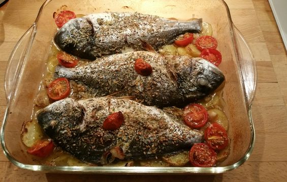 Dorade : nos délicieuses recettes de dorade