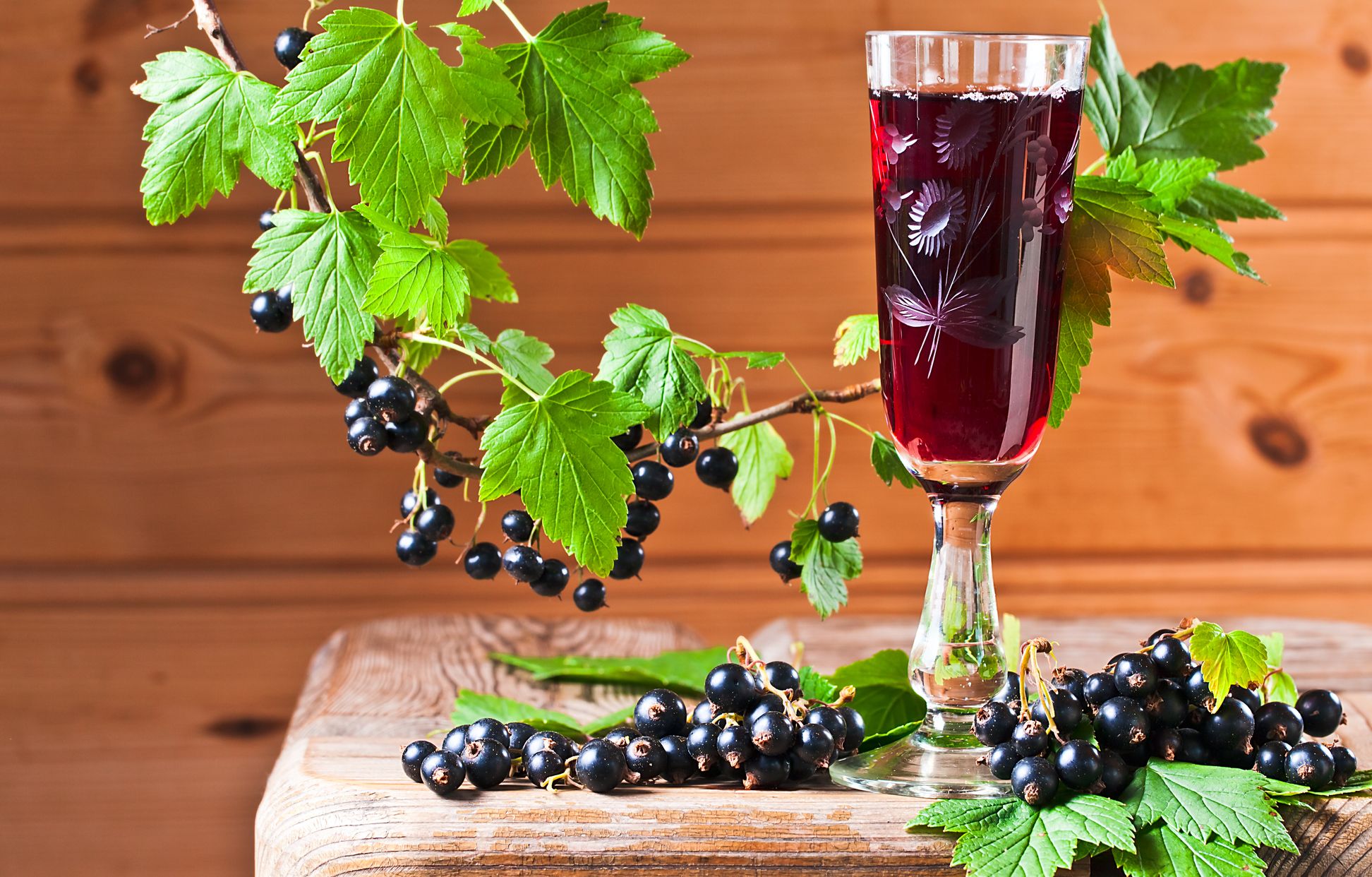 vin de groseilles : Recette de vin de groseilles - Marmiton