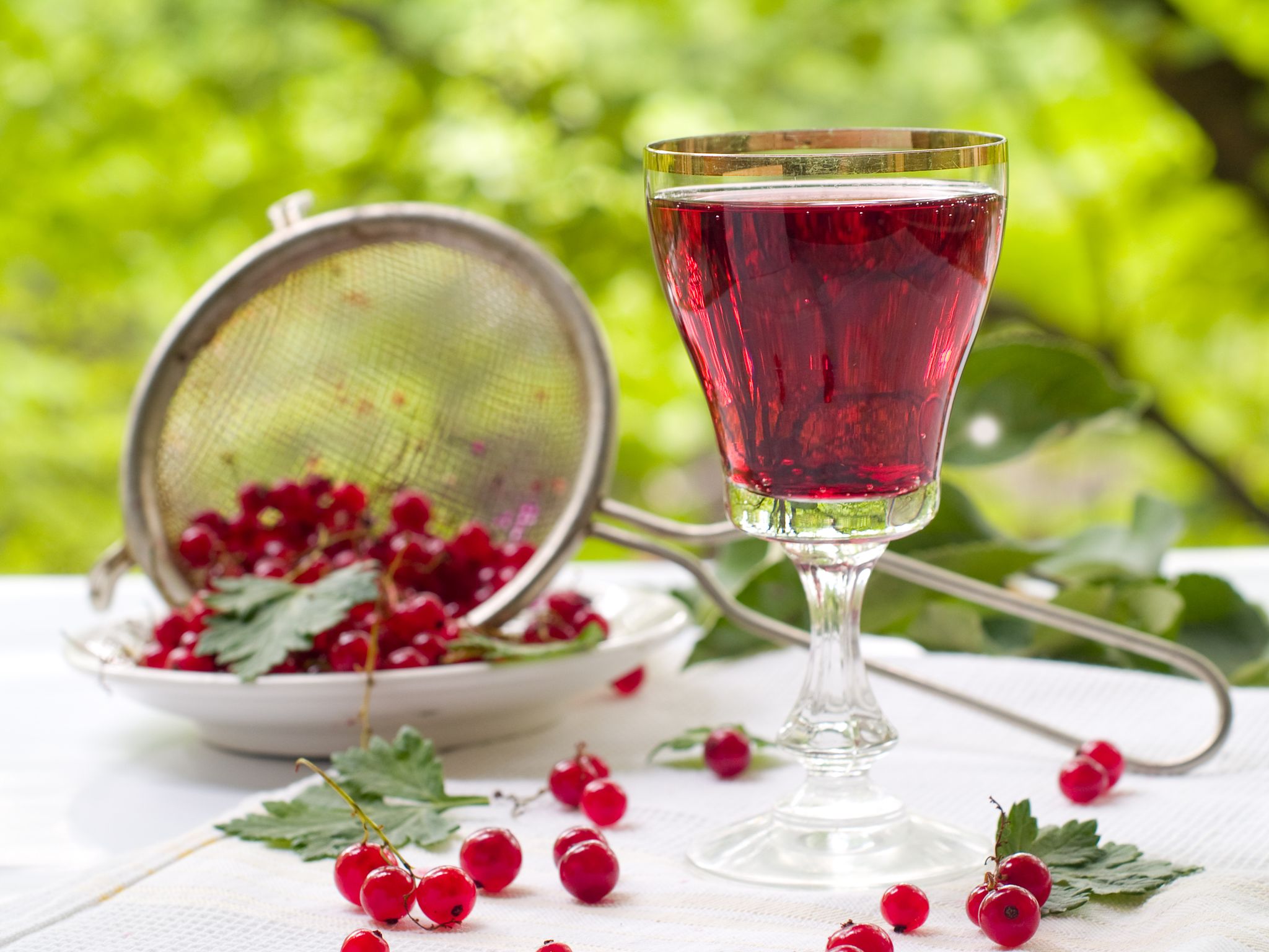 Vin de groseille : Recette de Vin de groseille - Marmiton