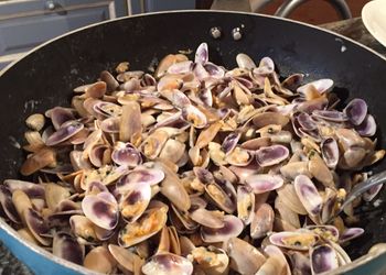 Telline : nos délicieuses recettes de telline