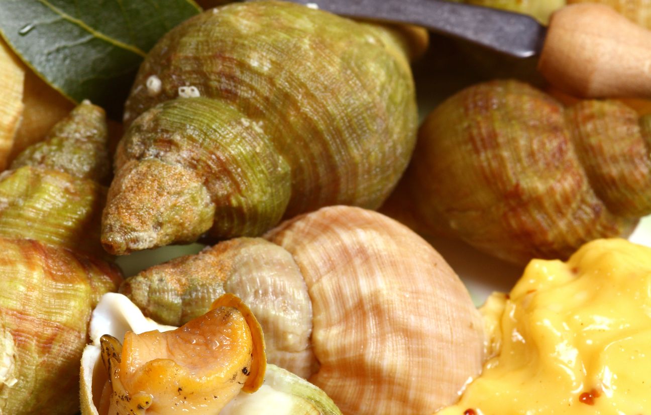 Bulots mayonnaise : Recette de Bulots mayonnaise - Marmiton