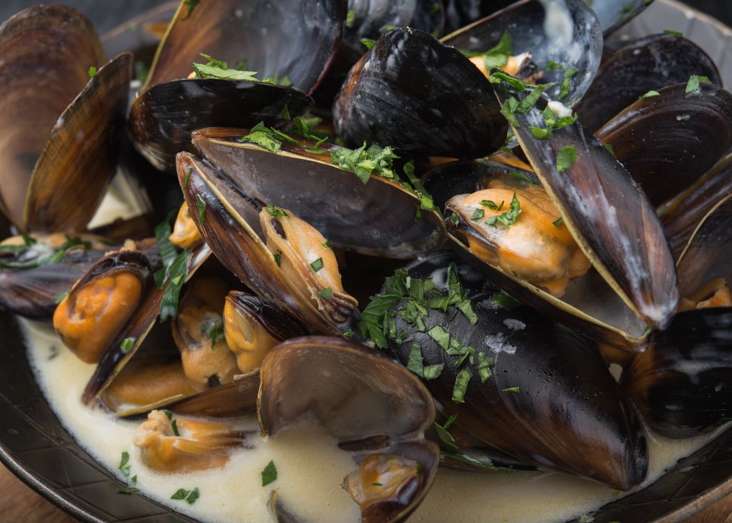 Moules a la poulette : nos délicieuses recettes de moules a la poulette