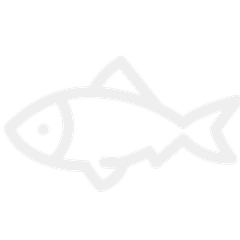 Pain de poisson (colin) : Recette de Pain de poisson (colin) - Marmiton