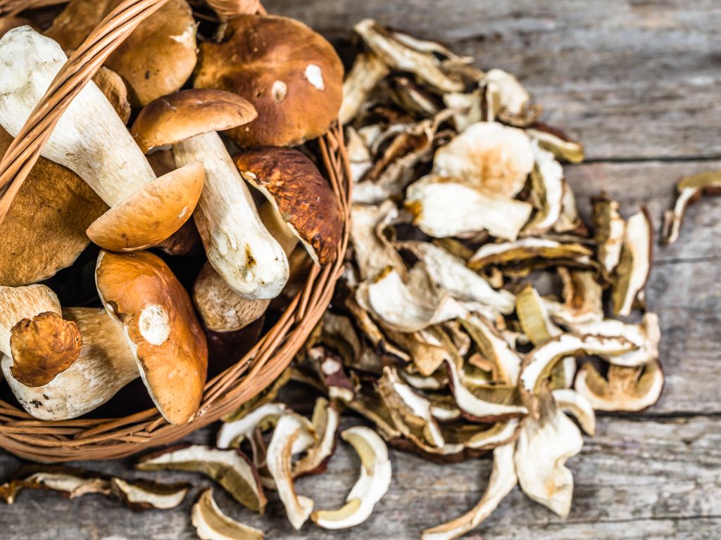 Faire sécher les cèpes : Recette de Faire sécher les cèpes