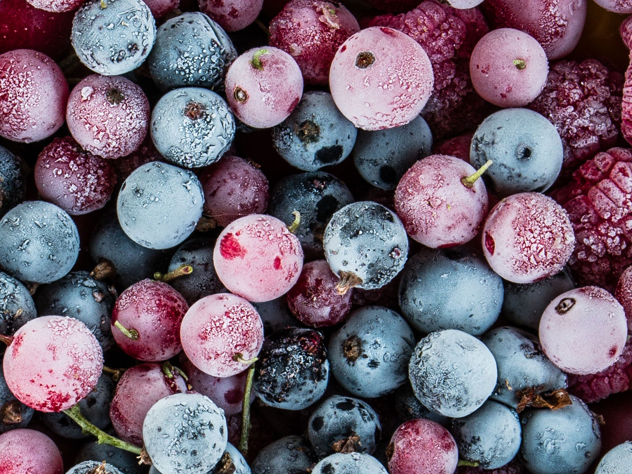 Congélation des petits fruits rouges : Recette de Congélation des ...