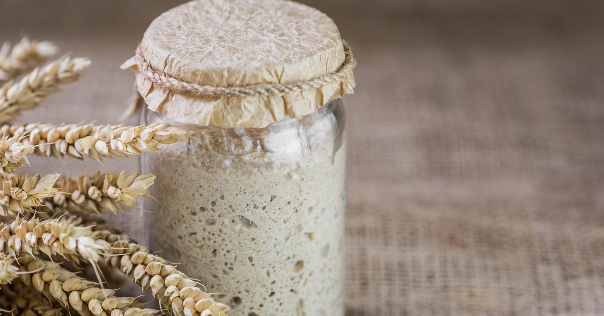 Levain : recette de Levain