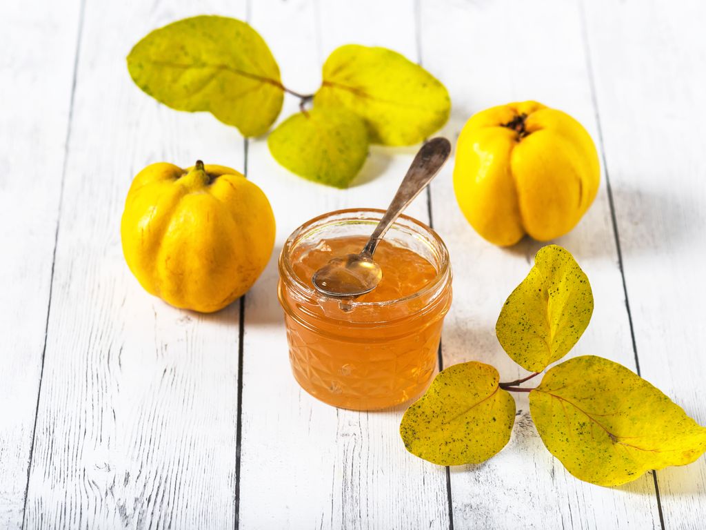 gelée de coing : Recette de gelée de coing - Marmiton