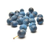 Liqueur de prunelles : Recette de Liqueur de prunelles - Marmiton