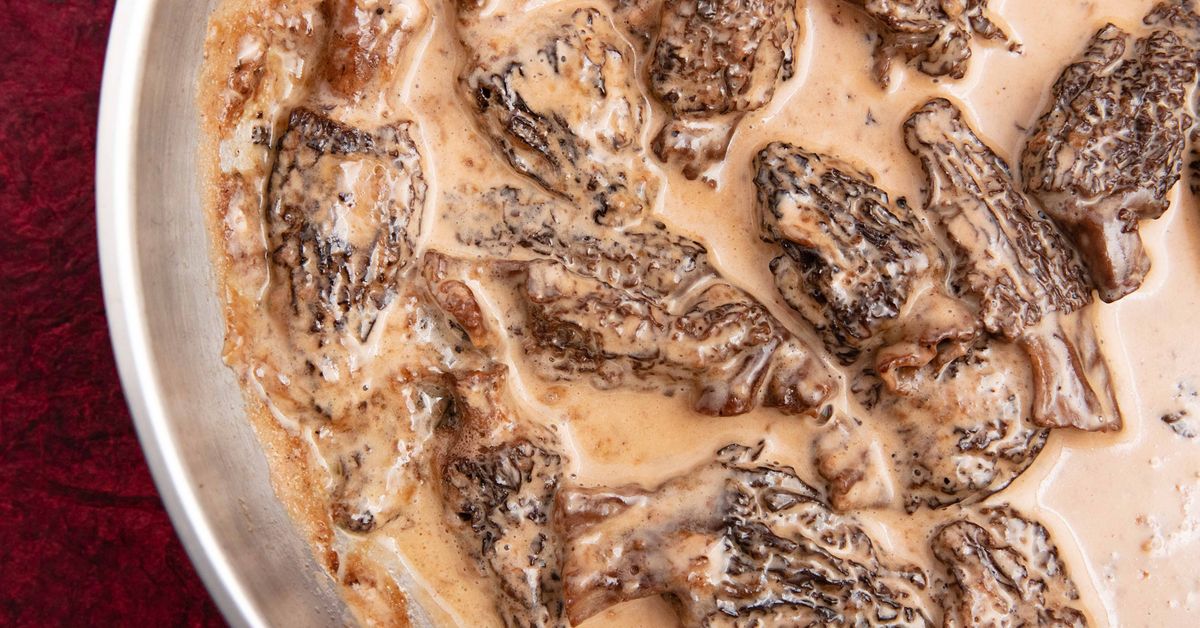 Sauce au comté et aux morilles : recette de Sauce au comté et aux morilles