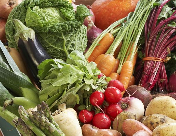 Légumes : tout savoir et l'actualité sur Légumes