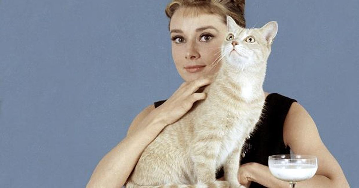 10 trucs qui prouvent que tu es une "cat lady"