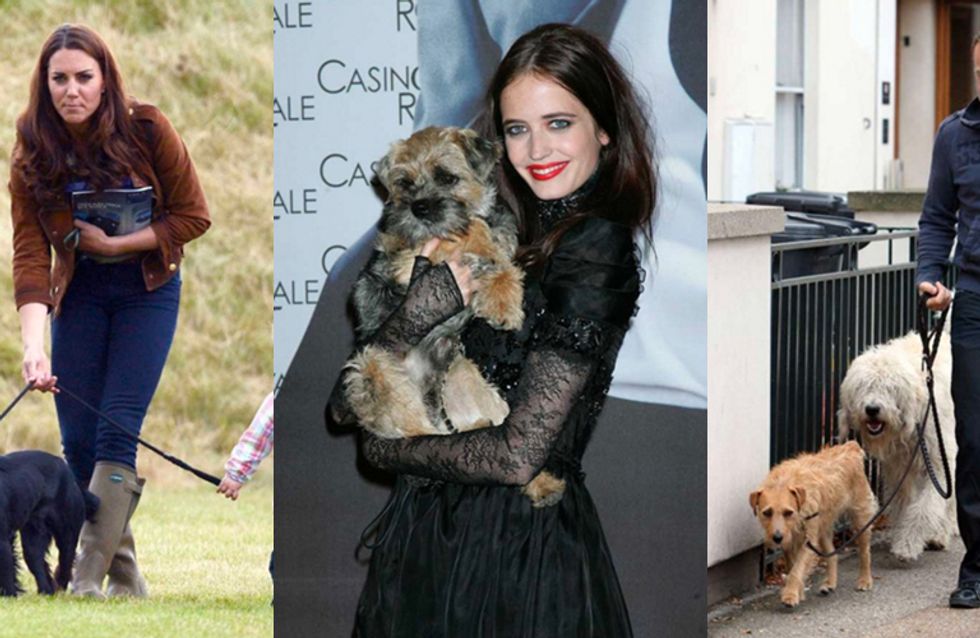 Celebrity Pets: Stars And Their Dogs