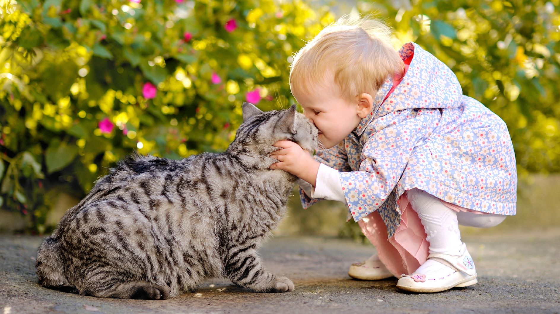 Top 8 des cadeaux les plus cools pour les enfants fous d’animaux