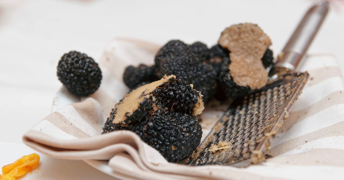 Truffe noire : comment choisir une truffe