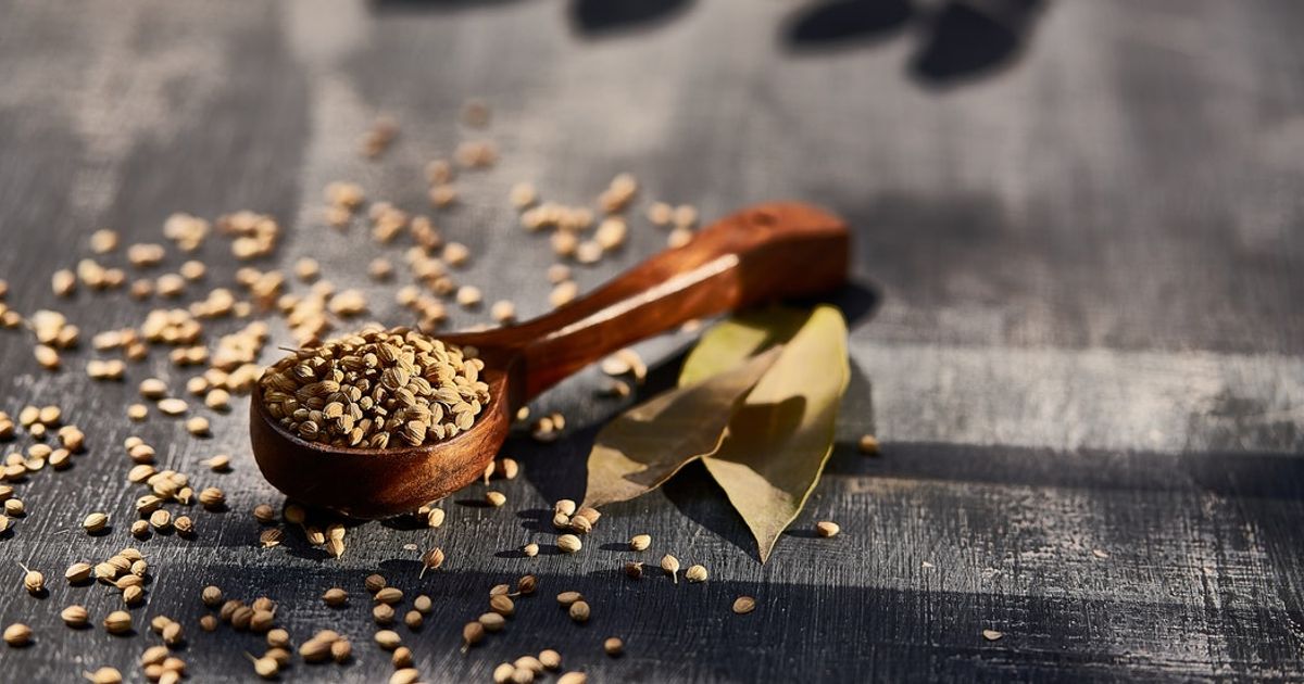 Les types de graines à faire germer