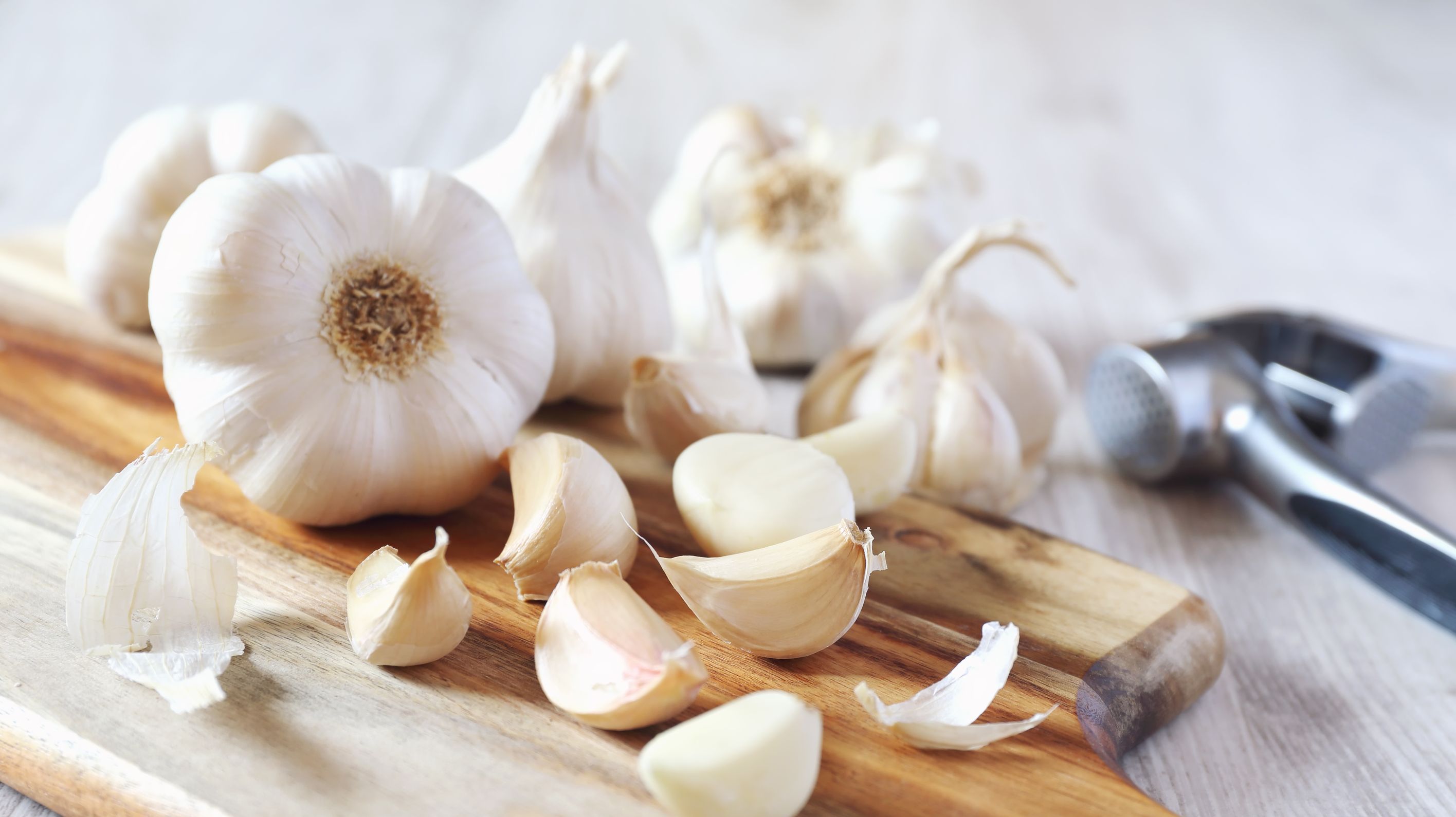 L'ail, un aliment bon pour la santé L'ail, un aliment bon pour la santé
