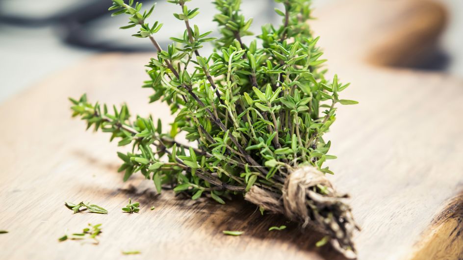 Tout savoir sur le thym