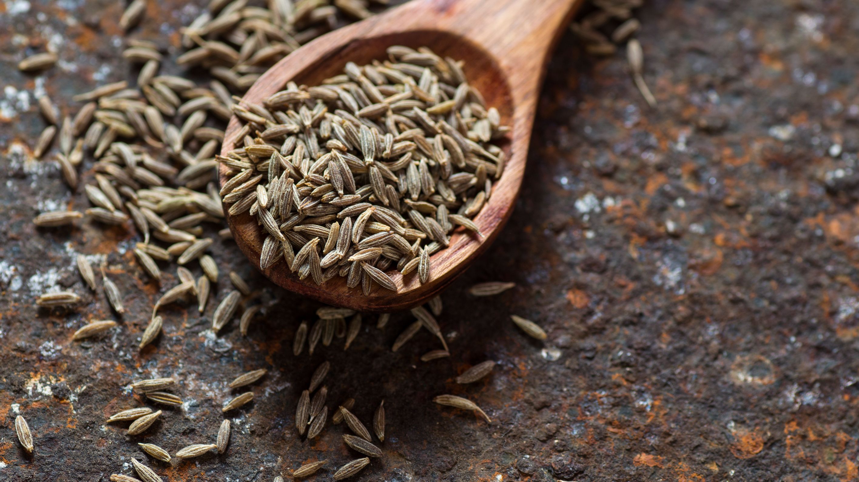 Tout savoir sur le carvi