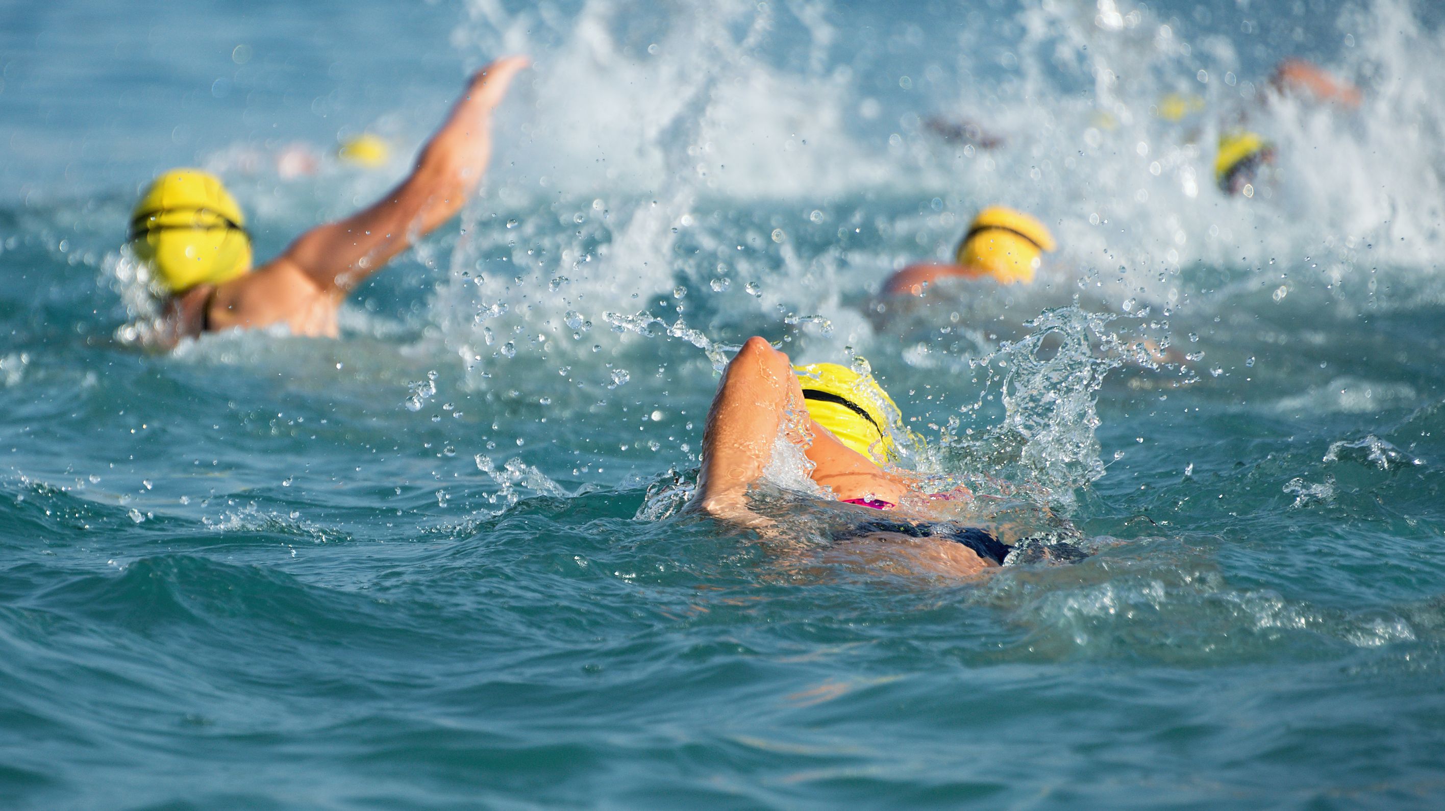 le triathlon : le triathlon,3 sports en un pour plus de sensations