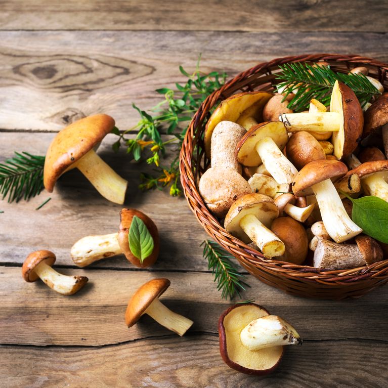 Quiz : connaissez-vous les champignons