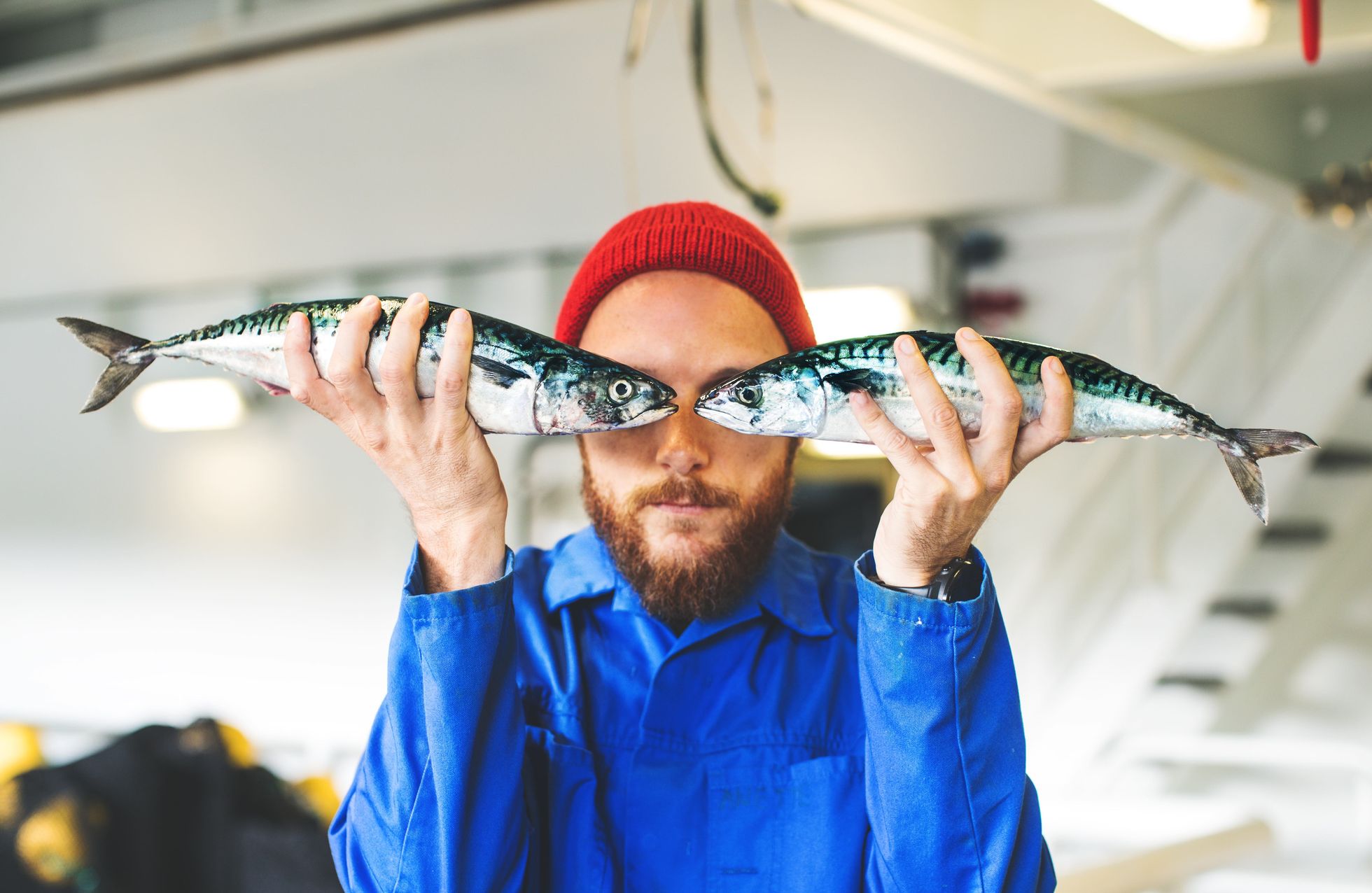 3 astuces pour consommer du poisson de manière durable