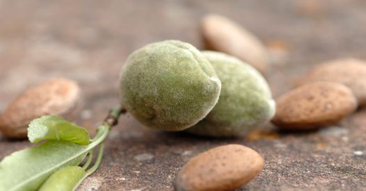 Que faire avec des amandes fraîches