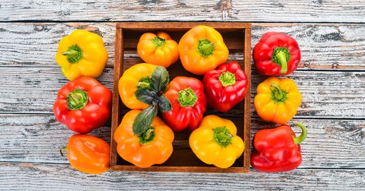Poivron : 5 choses à savoir sur ce légume