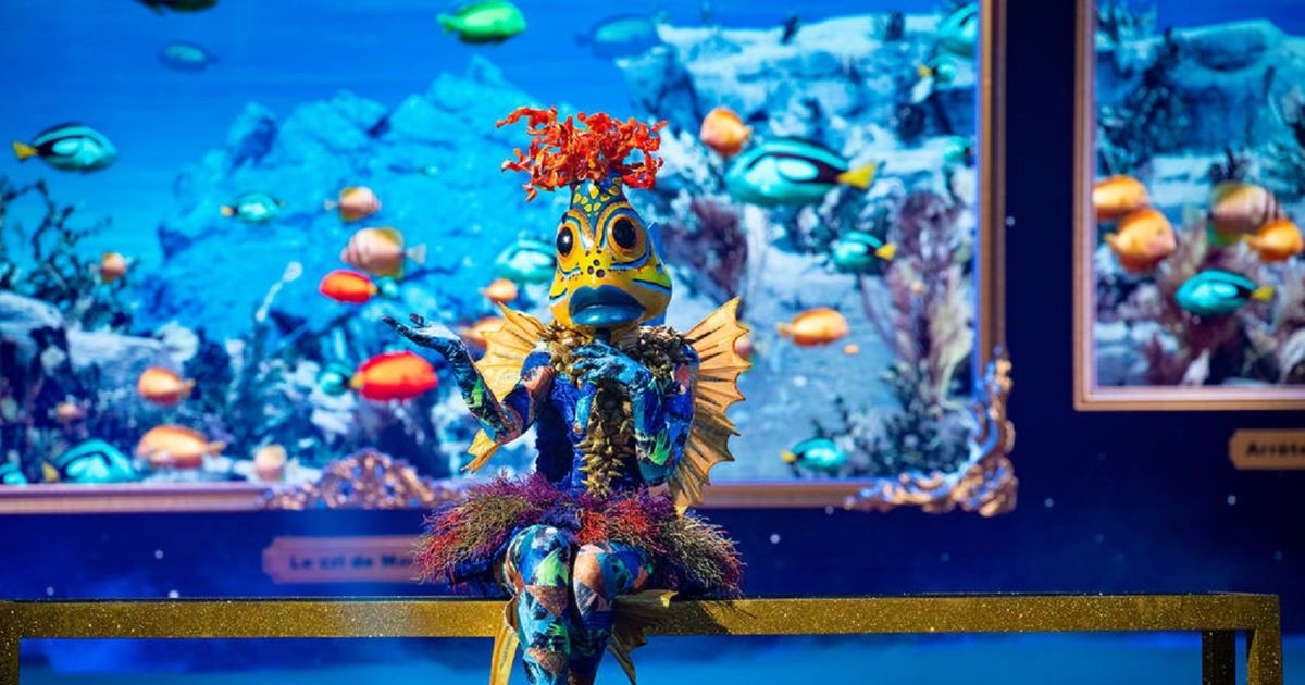 Mask Singer 2022 : découvrez la personnalité cachée sous le costume du ...