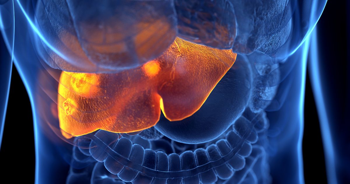 Cancer du foie: en augmentation et plus mortel, quels signes surveiller