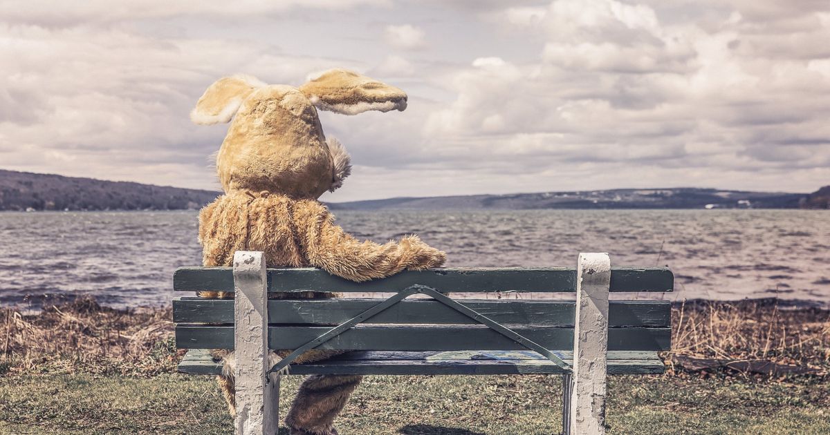 Soûl, un homme en costume de lapin est arêté et conduit devant le juge ...