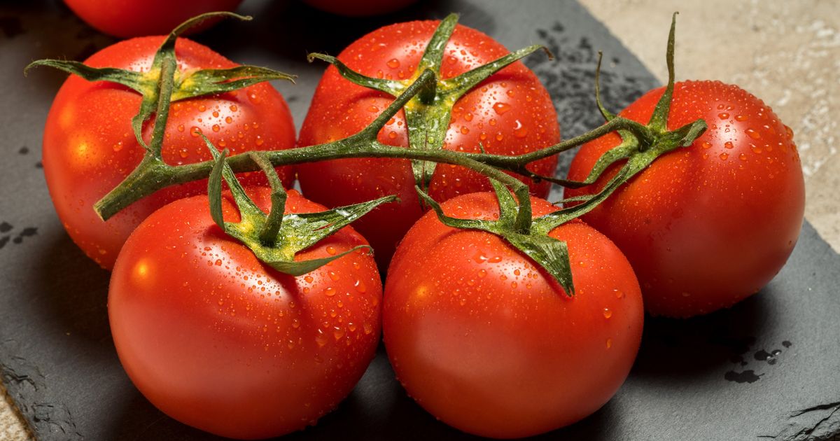 Où trouver des tomates pas chères (à prix coûtant pour 1,99 euros le ...